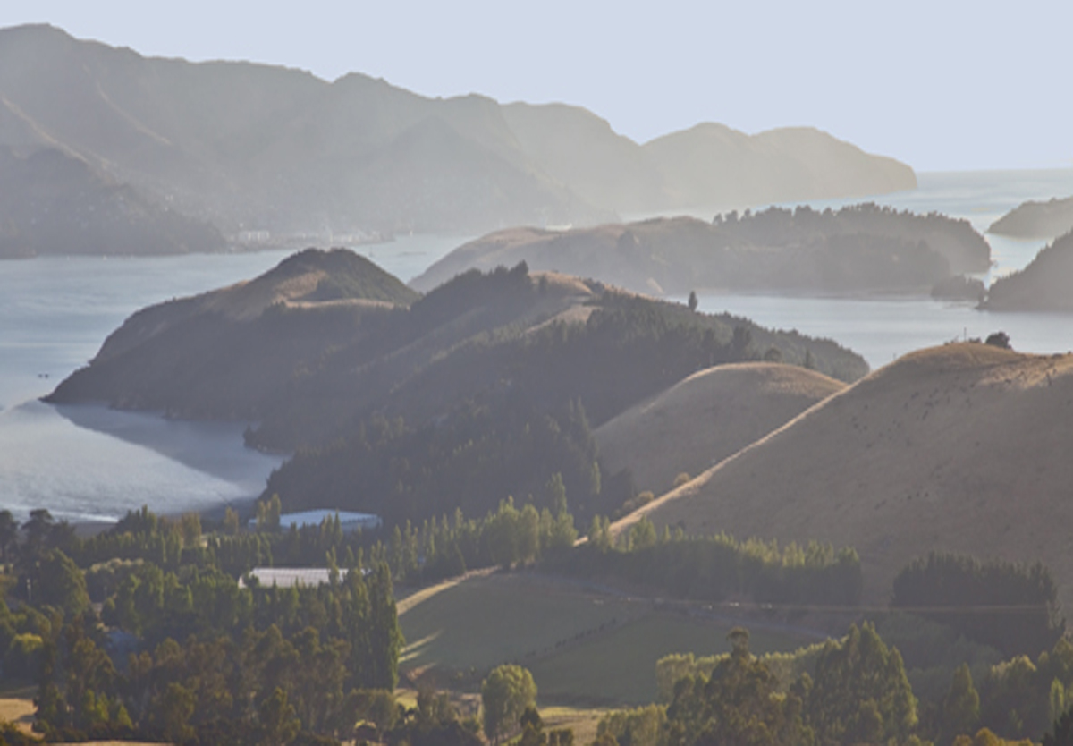 Summer Camping - Living Springs, Christchurch, NZ