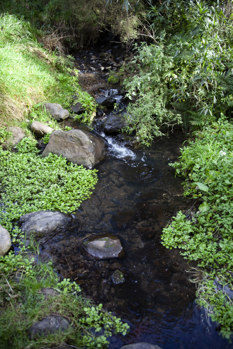 Special Spots of Living Springs: The Burnside Quarries Living Springs ...