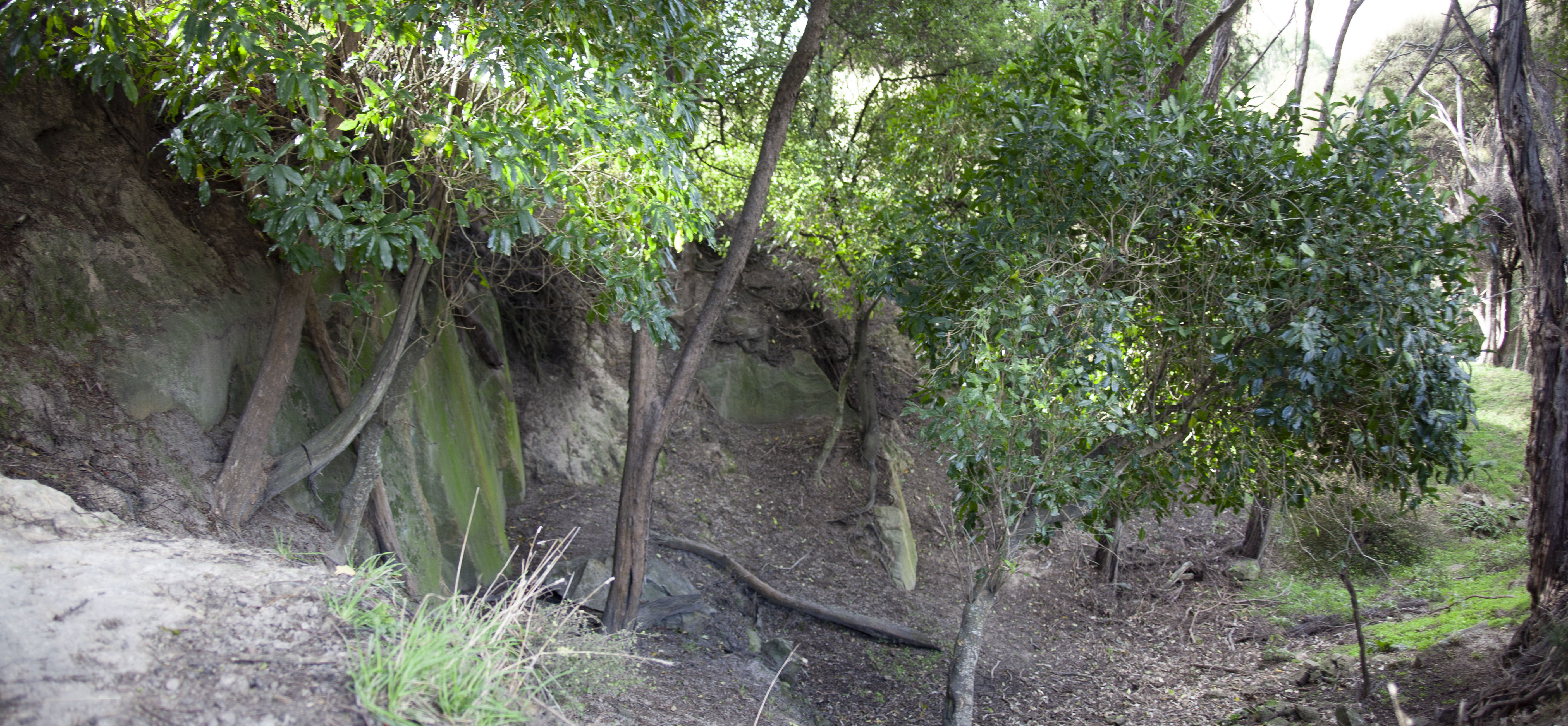 Special Spots of Living Springs: The Burnside Quarries Living Springs ...