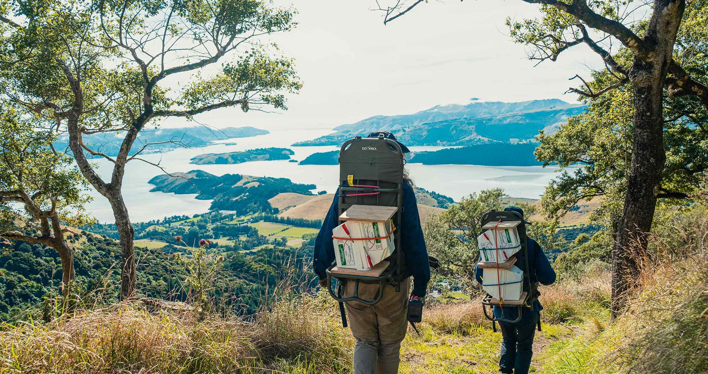 Living Springs awarded grant to restore enviroment - Living Springs ...