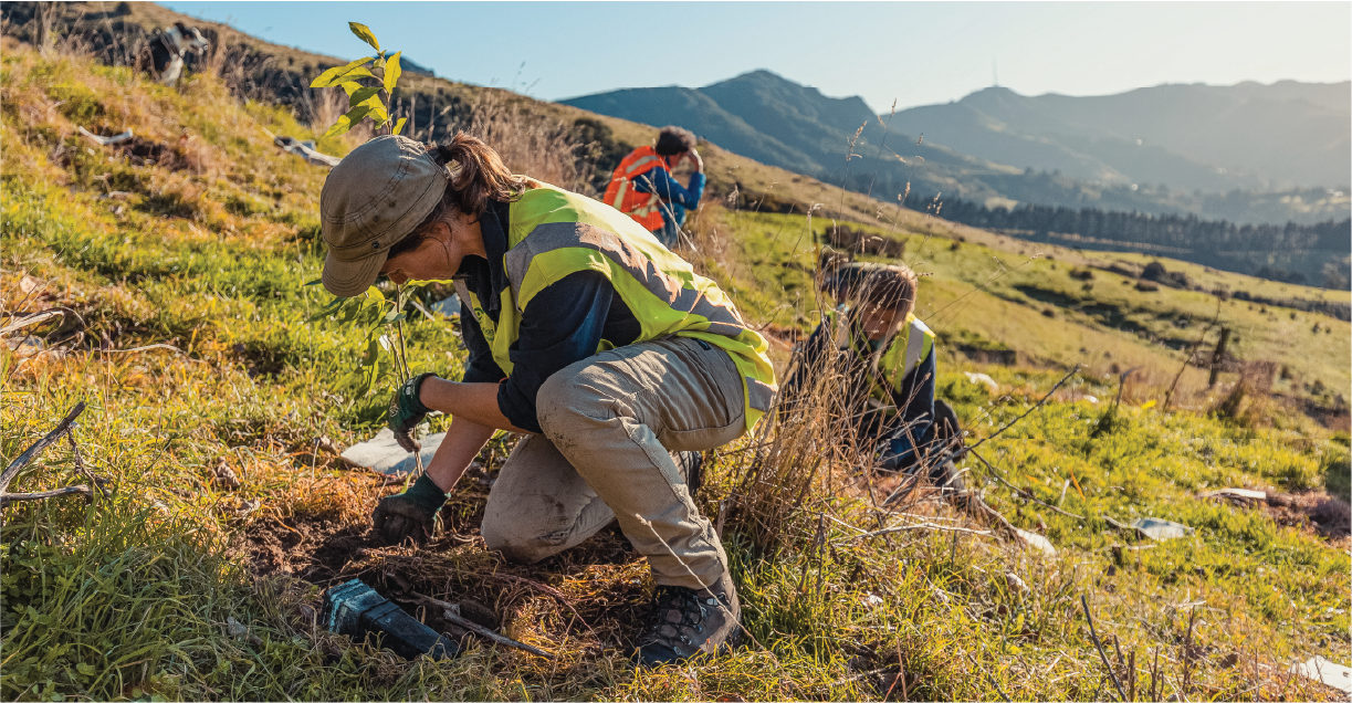 Kaimahi Team Collab - Living Springs, Christchurch, NZ