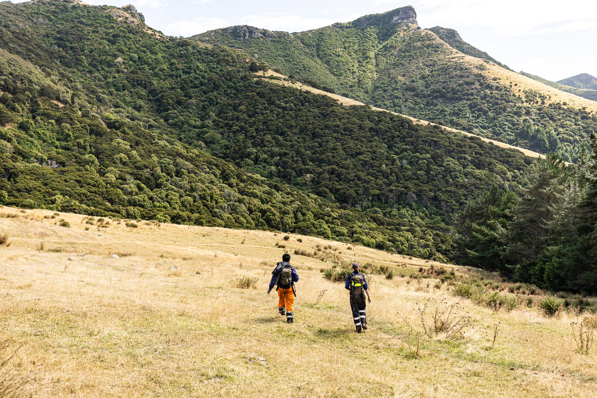 Job vacancy: Conservation Field Worker- Tracks Specialist - Living ...